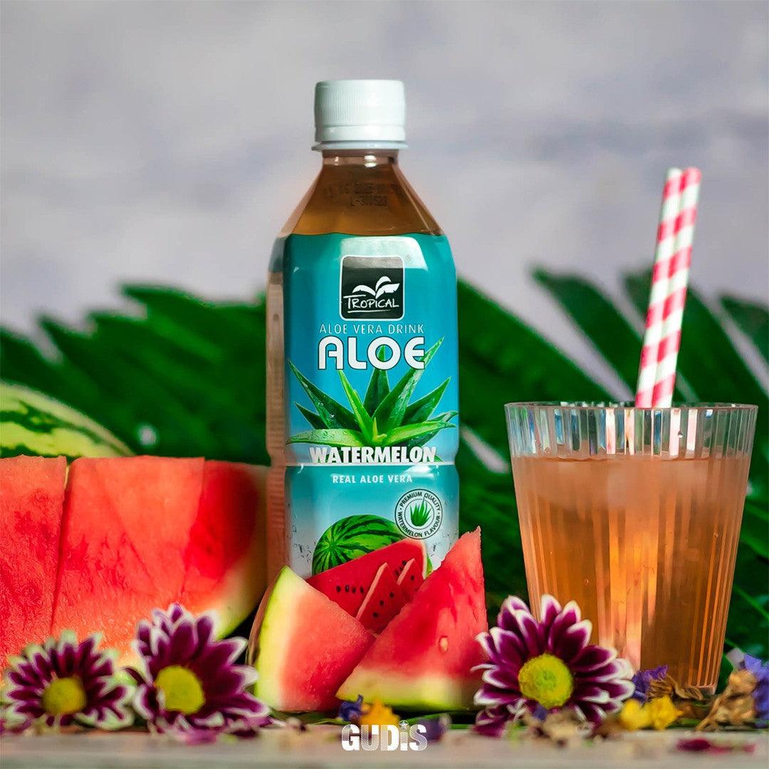 Bebida Aloe Vera Melancia 500ml | Refrescante e Natural | GUDIS SHOP